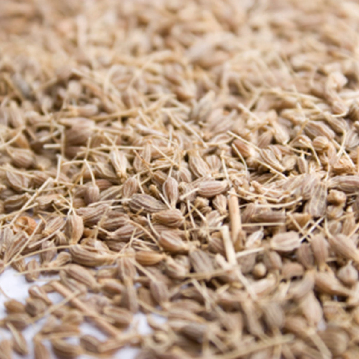 Anise Edible Perfume Spray — Amoretti