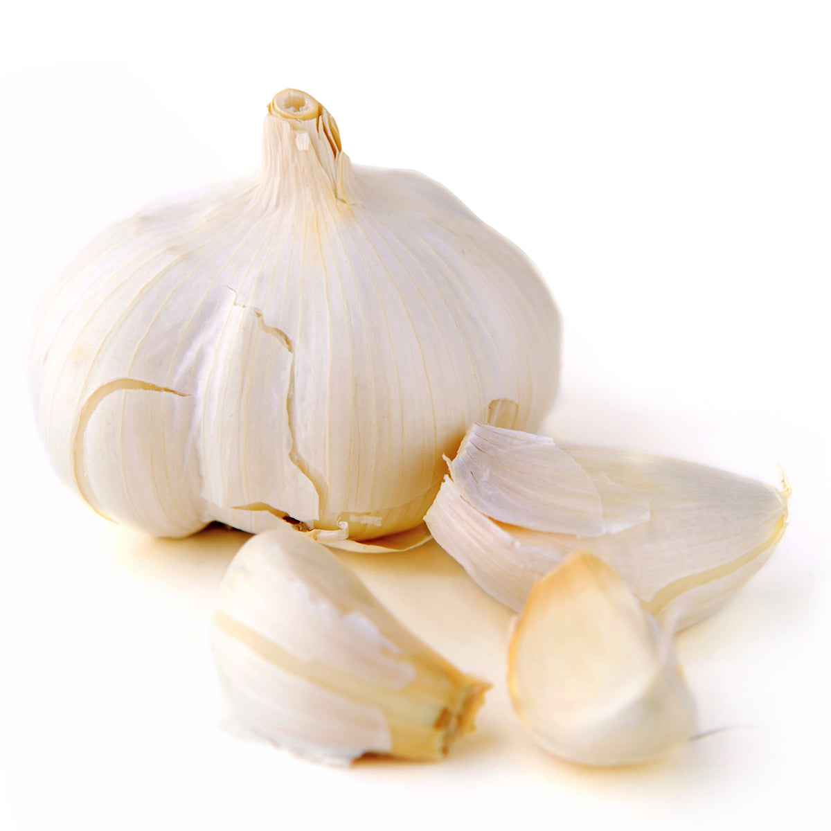 Garlic Oil Extract Oil Soluble — Amoretti
