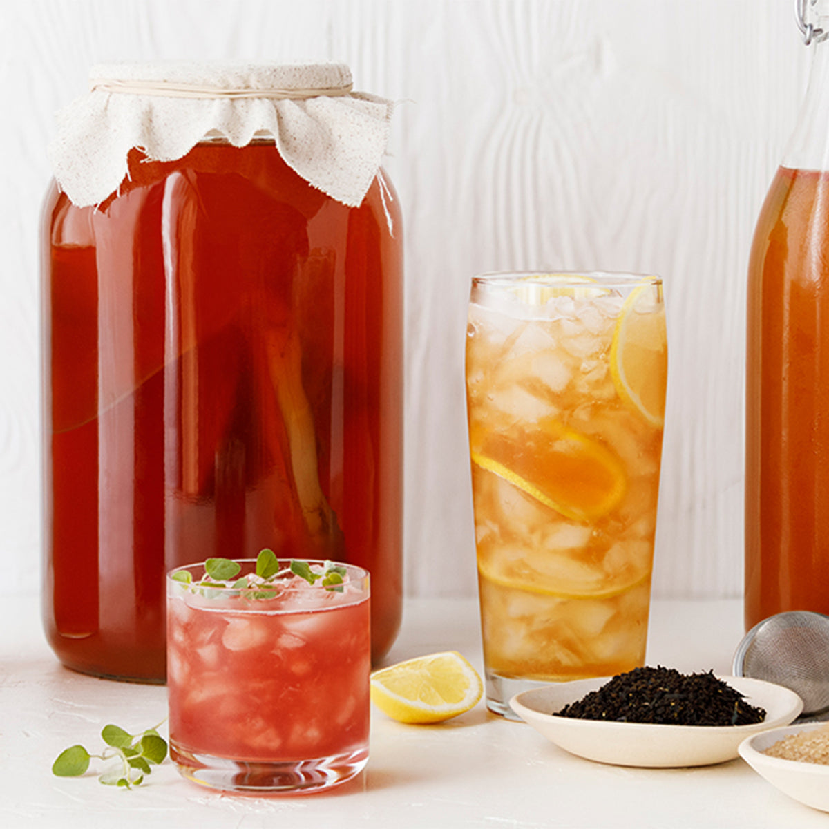 Natural Kombucha Extract Water Soluble — Amoretti