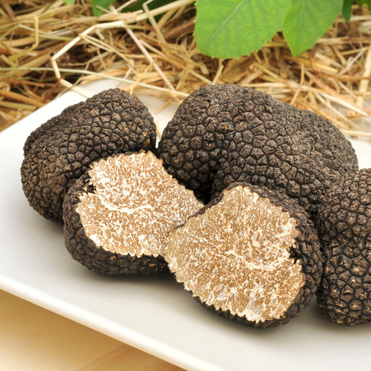 Black Truffle Natural Extract Water Soluble — Amoretti