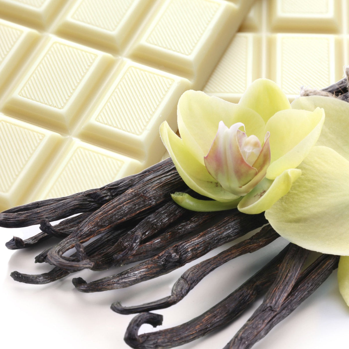 White Chocolate Vanilla Industrial Compound — Amoretti